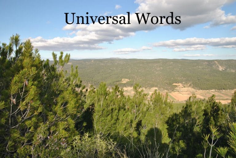 Palabras Universales